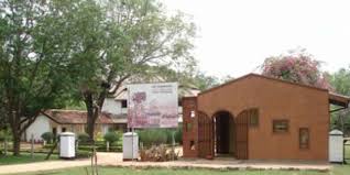 MAS Active (Pvt) Ltd-Linea Intimo