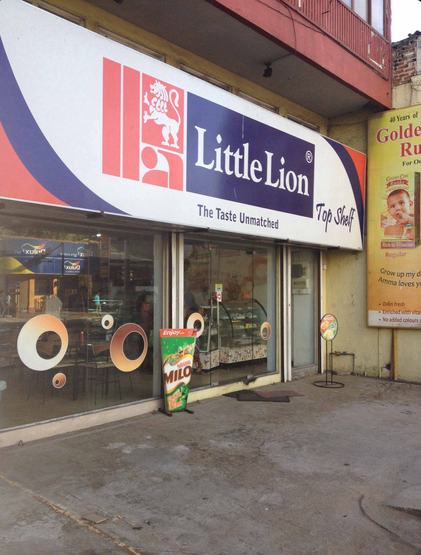 Little Lion Top Shelf