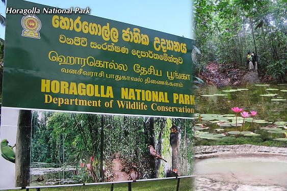 Parliament Ground