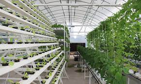 Riococo Lanka(Pvt)Ltd