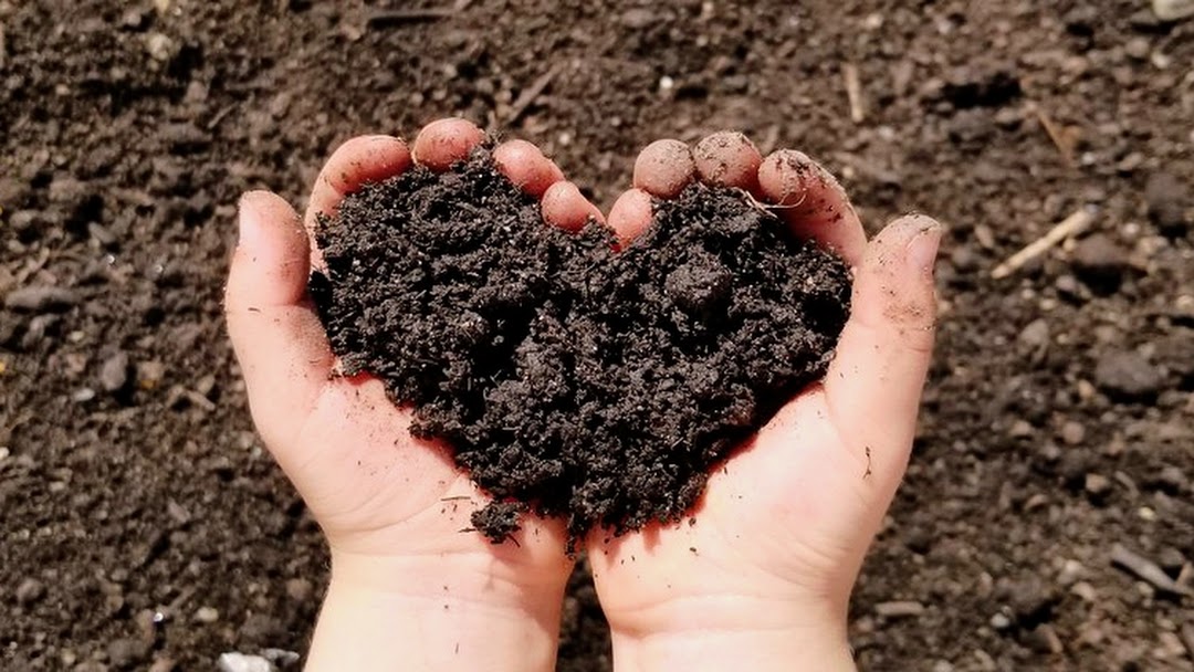 Compost,Coir Dust,Organic Fertilizer Fount
