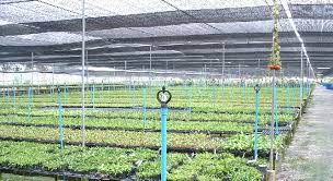 SkyTech Engineering (Pvt) Ltd