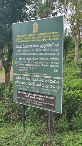 The Pekoe Trail Stage 01: Hanthana To Galaha